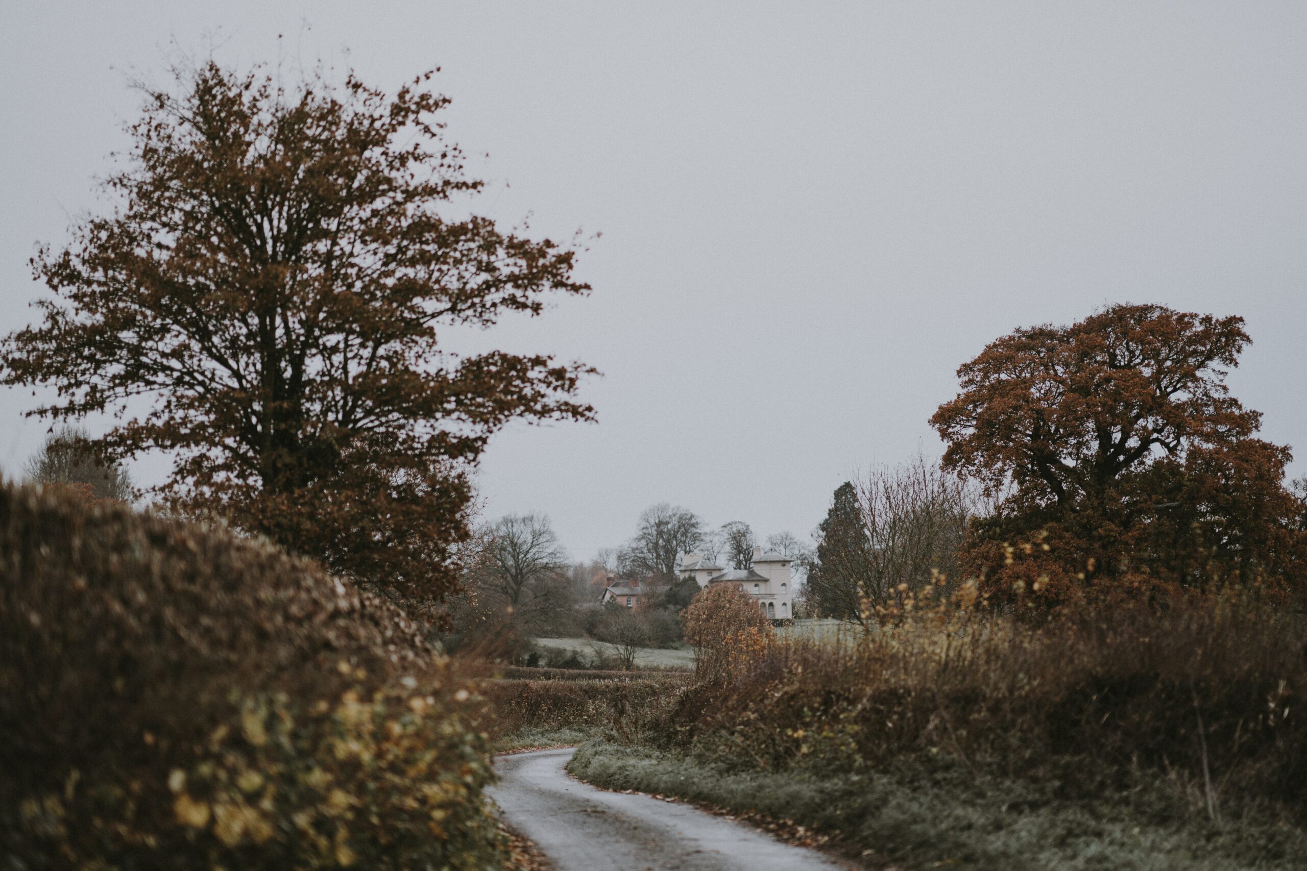 The importance of hedgerows - Thread Books